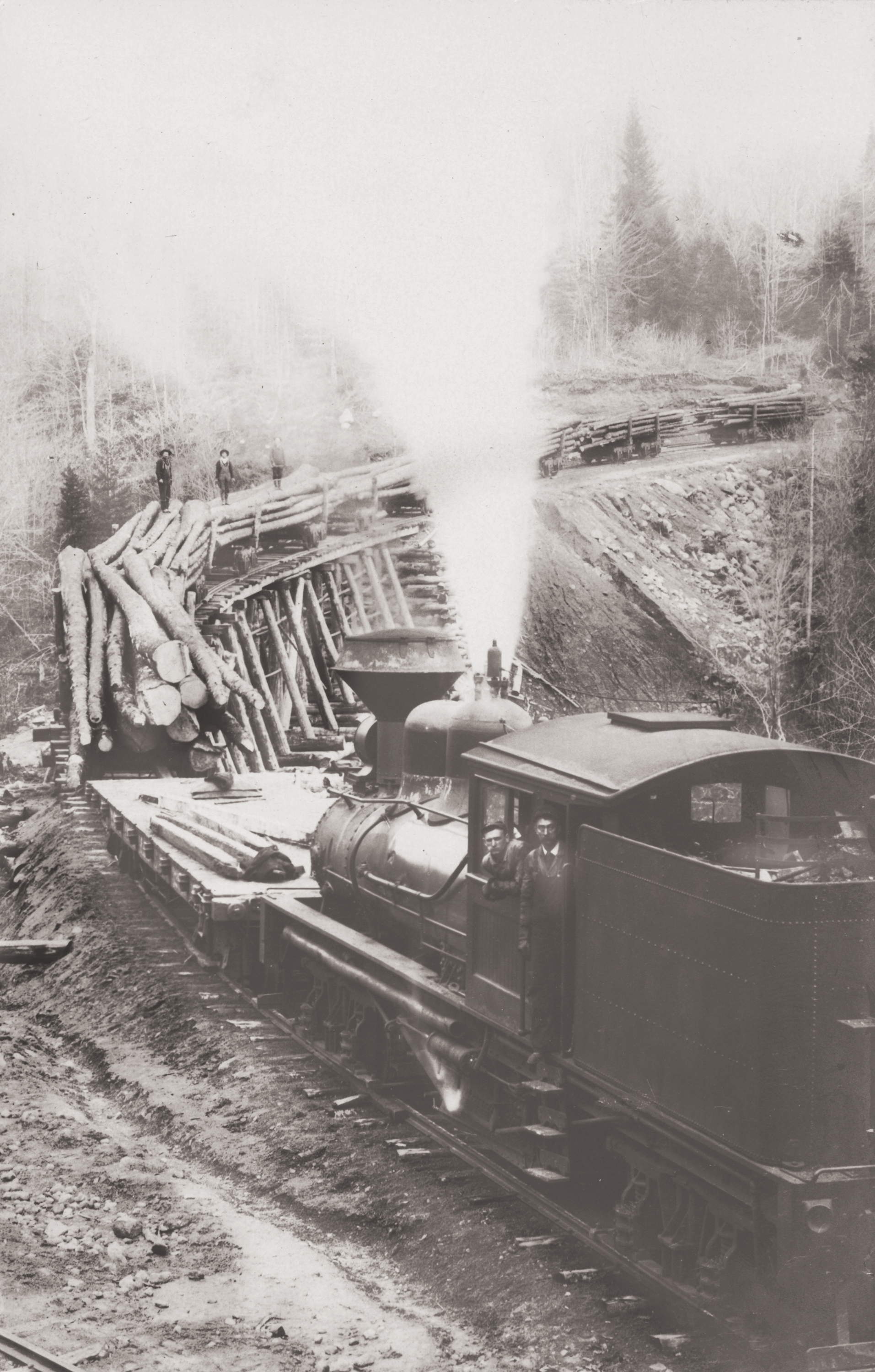 The Weeks Act Story (1911) – Live Free and Draw 📖