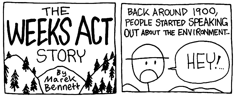 The Weeks Act Story (1911) – Live Free and Draw 📖